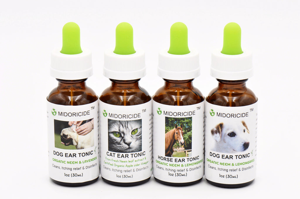 Natural Pet Ear Tonic | Midoricide.com | – MIDORICIDE