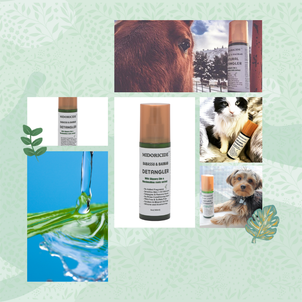 Pet Detangling spray - Midoricide – MIDORICIDE